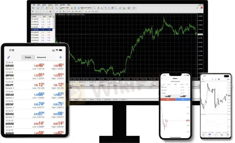 How to Install a Forex Robot in MetaTrader 4-News-WikiFX